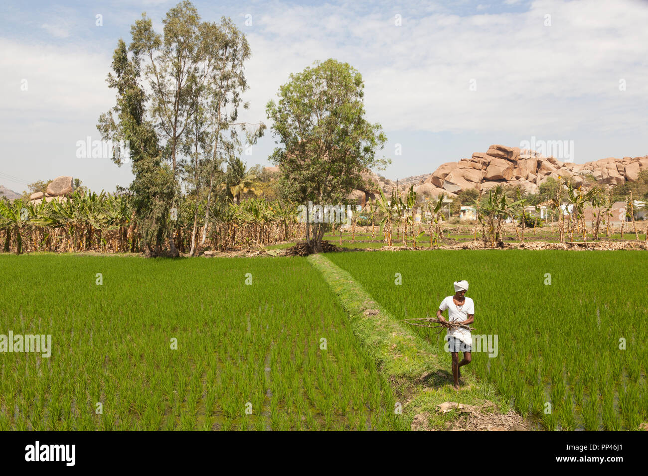 Indian farm labourer hi-res stock photography and images - Alamy
