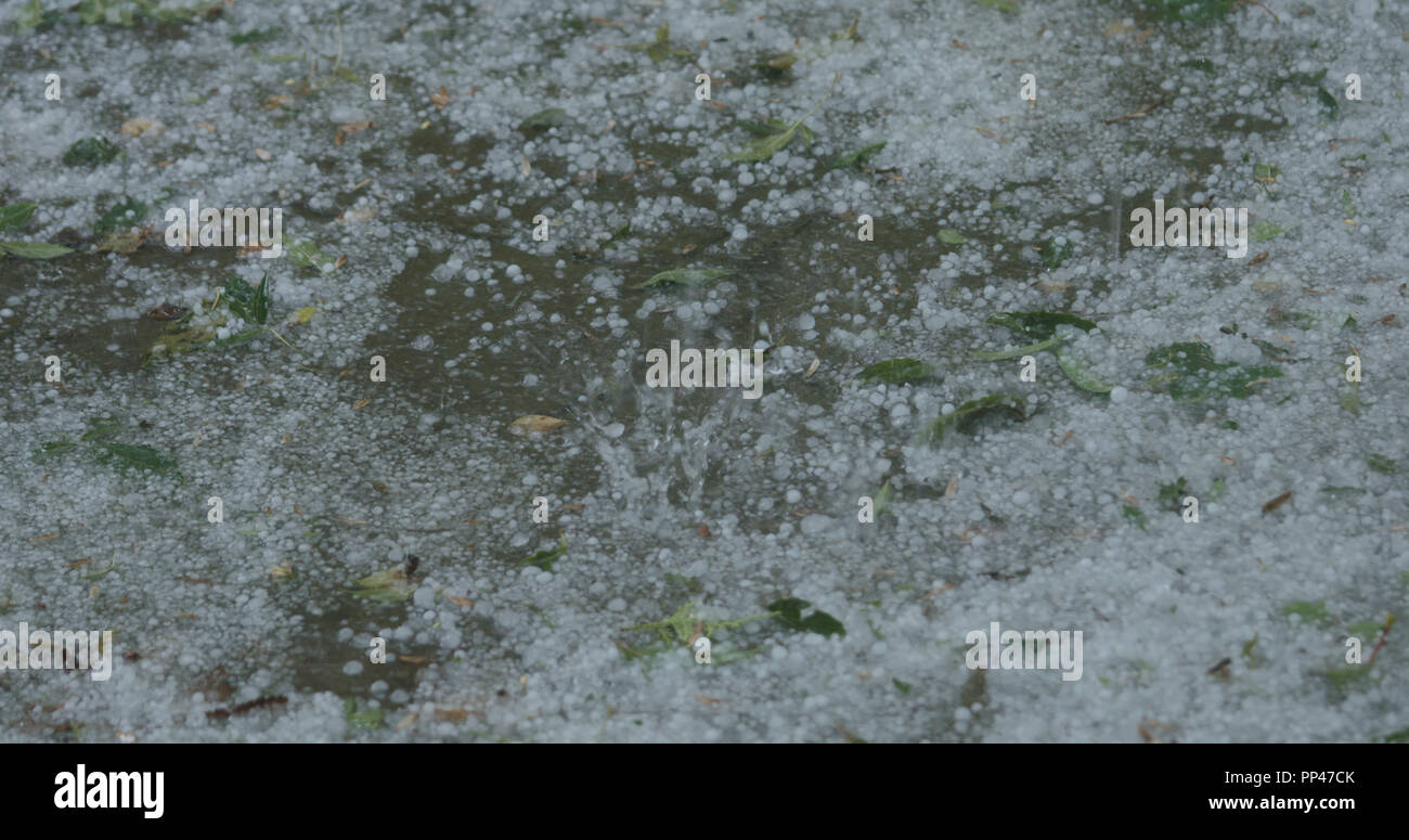 closeup of hailstones falling on the pavement during strong hailstorm ...
