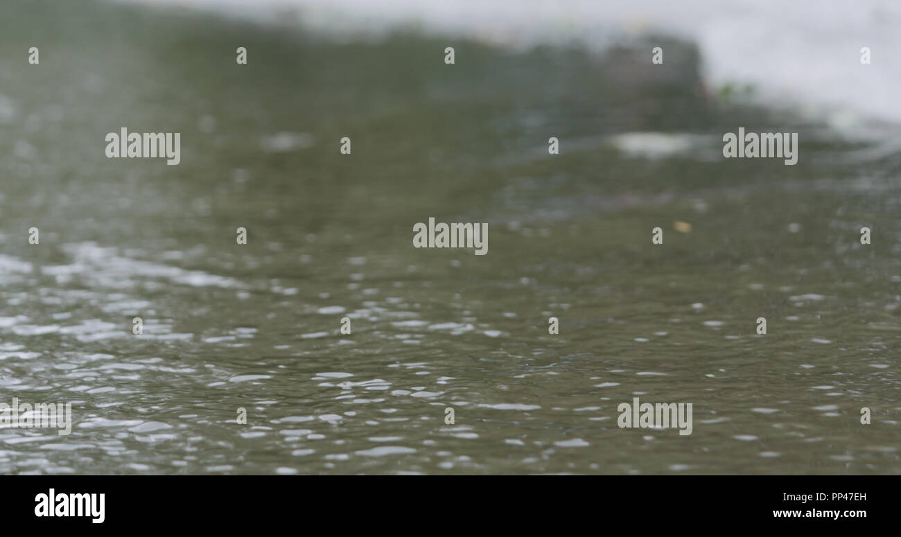 water streams on the street after rain, wide photo Stock Photo - Alamy