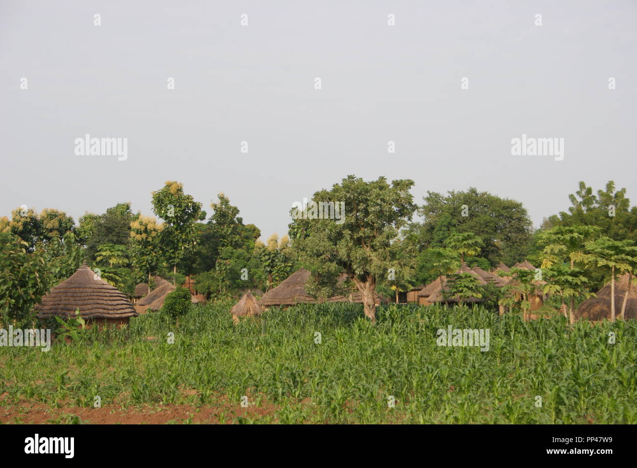 A settlement in Adjumani, in the West Nile region of Uganda Stock Photo ...