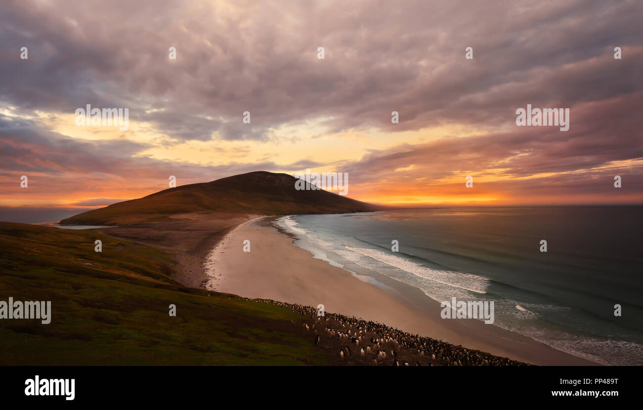 Isthmus of the Neck on Saunders Island at sunset, Falkland Islands ...