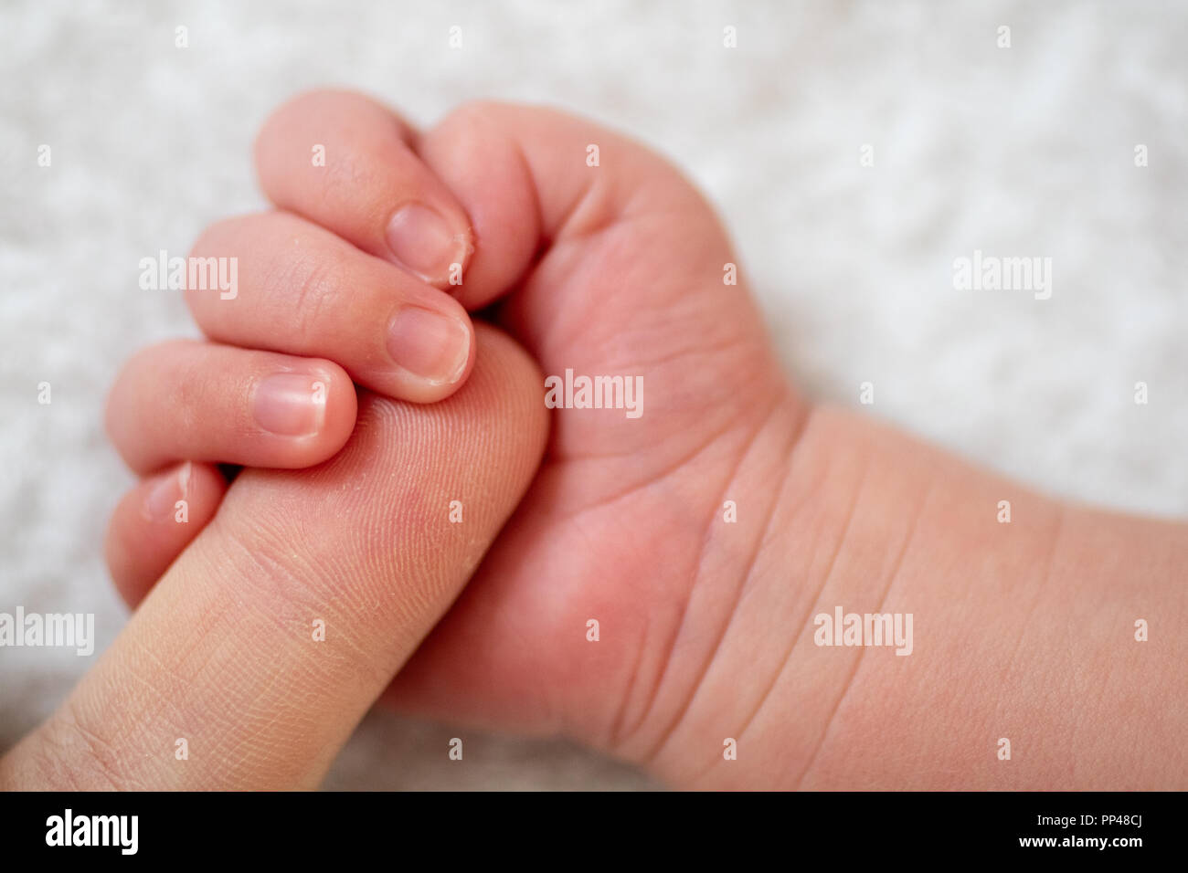 A baby holding their parent's finger Stock Photo - Alamy