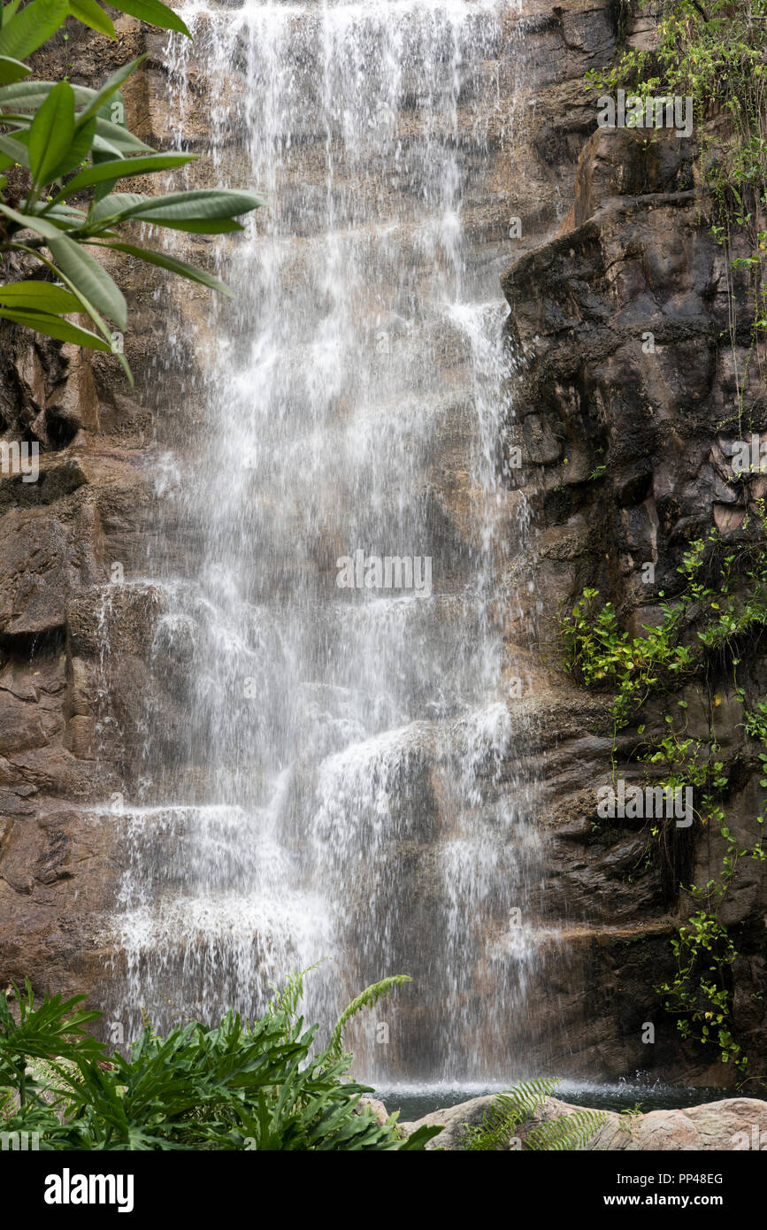 Sentosa singapore forest hi-res stock photography and images - Alamy