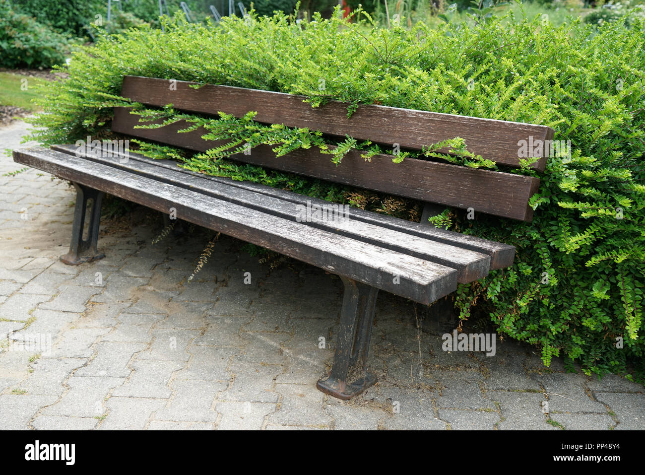 Park bench in a Bavarian park to relax and rest Stock Photo - Alamy