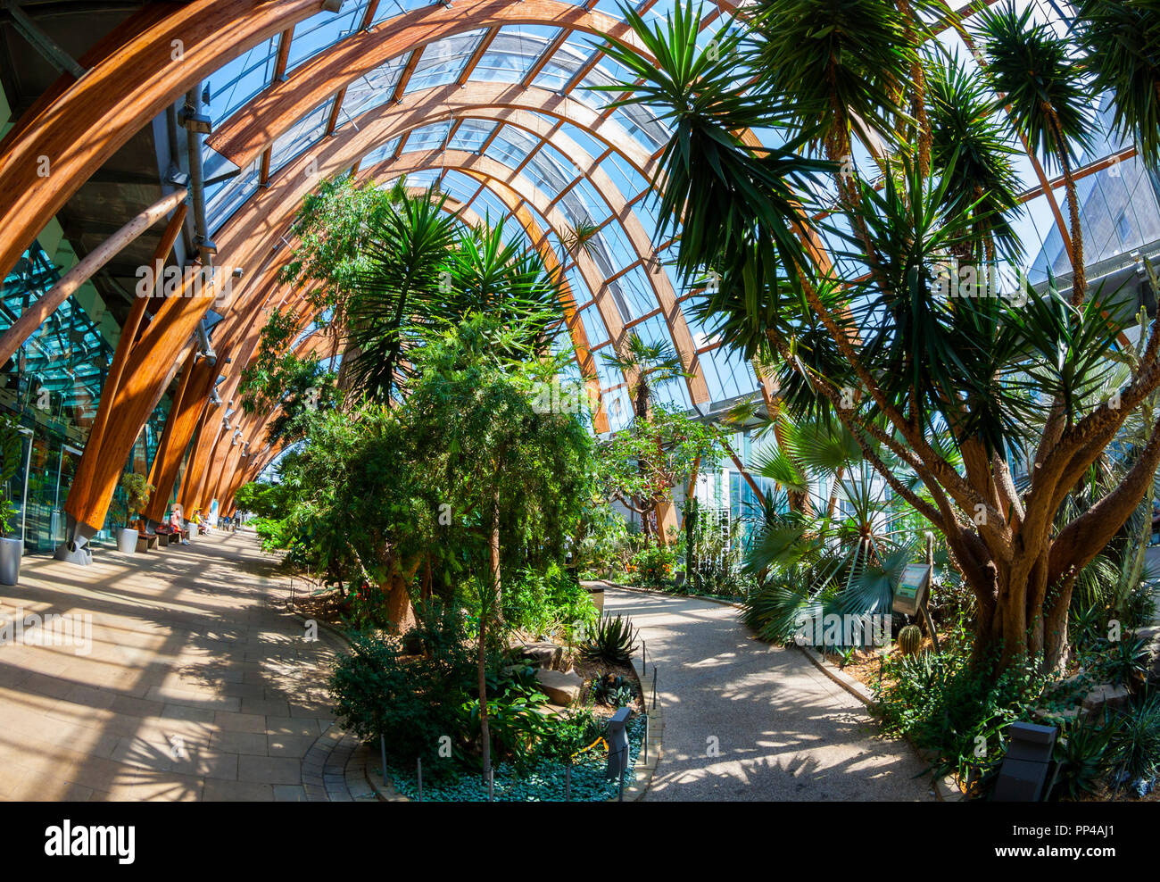 Winter gardens hi-res stock photography and images - Alamy