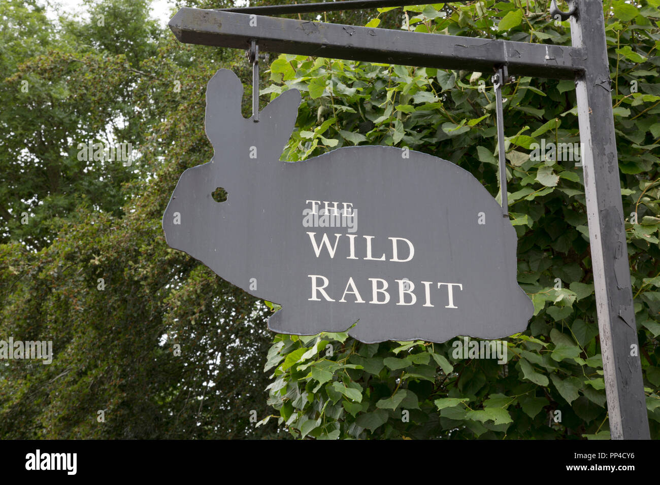 The wild rabbit at kingham hi-res stock photography and images - Alamy
