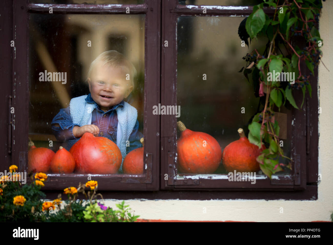 Halloween theme picture of cute cheerful kid looking on the window ...