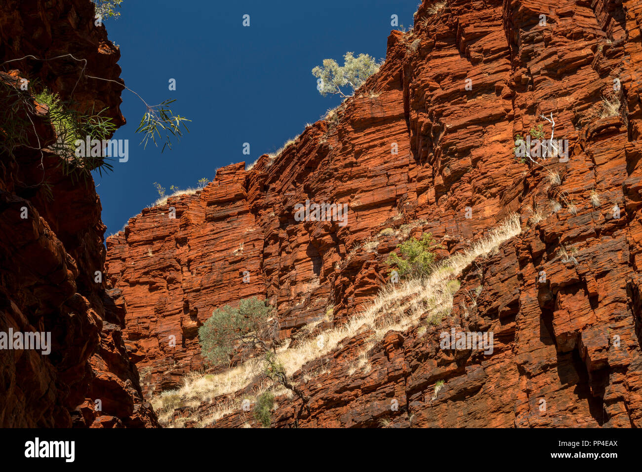 Red walls of Gorge Knox, karijini national park, Western Australia ...