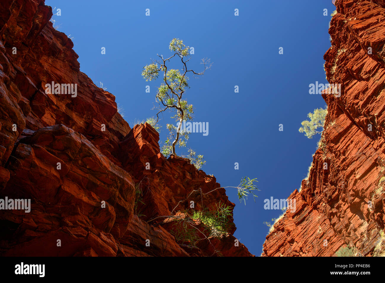 Red walls of Gorge Knox, karijini national park, Western Australia ...