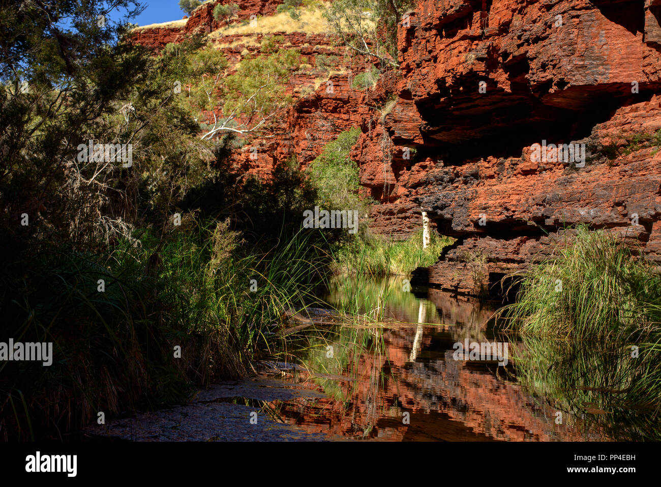 inside Gorge Knox, karijini national park, Western Australia Stock ...