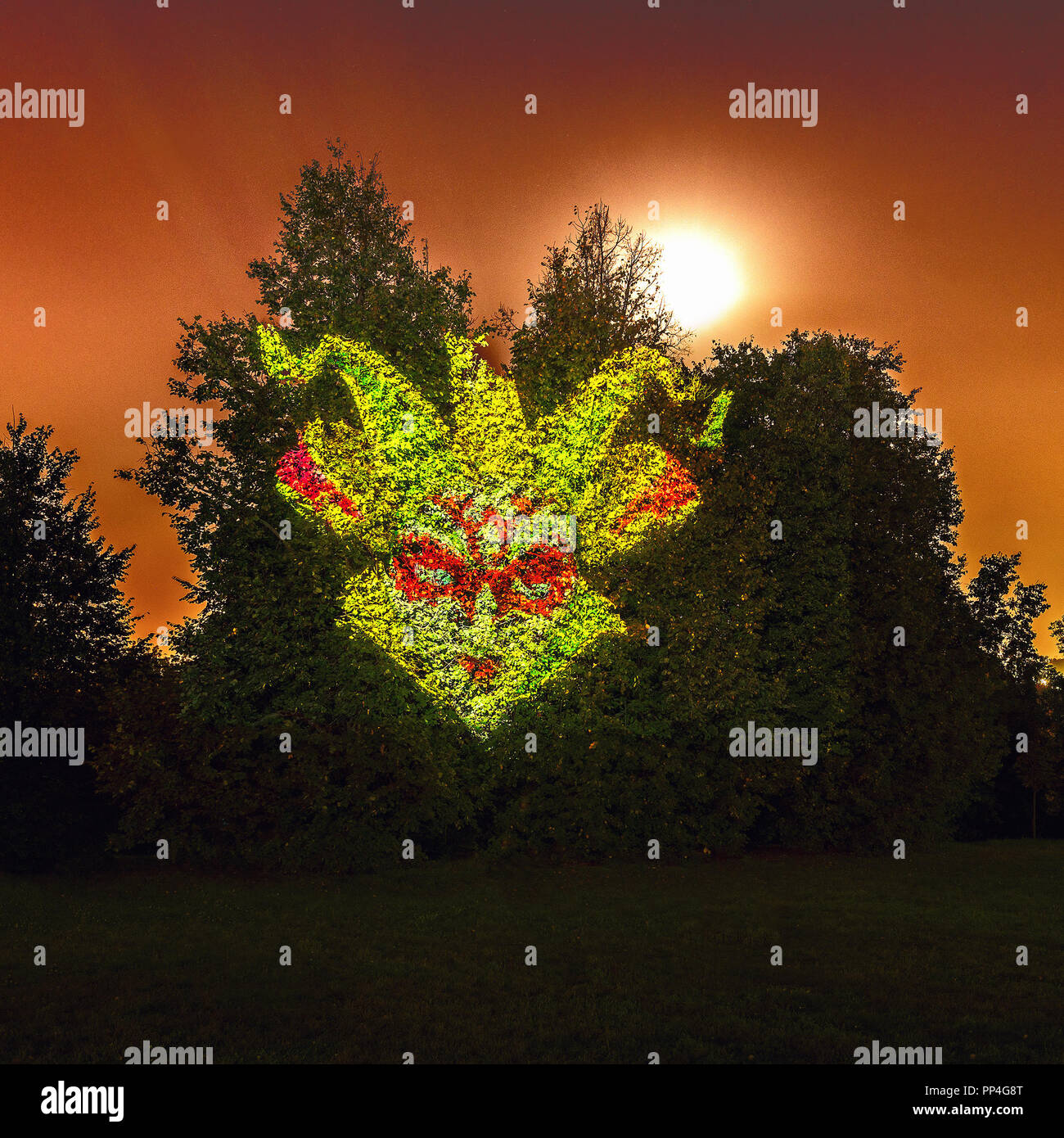 Light projection tree hi-res stock photography and images - Alamy