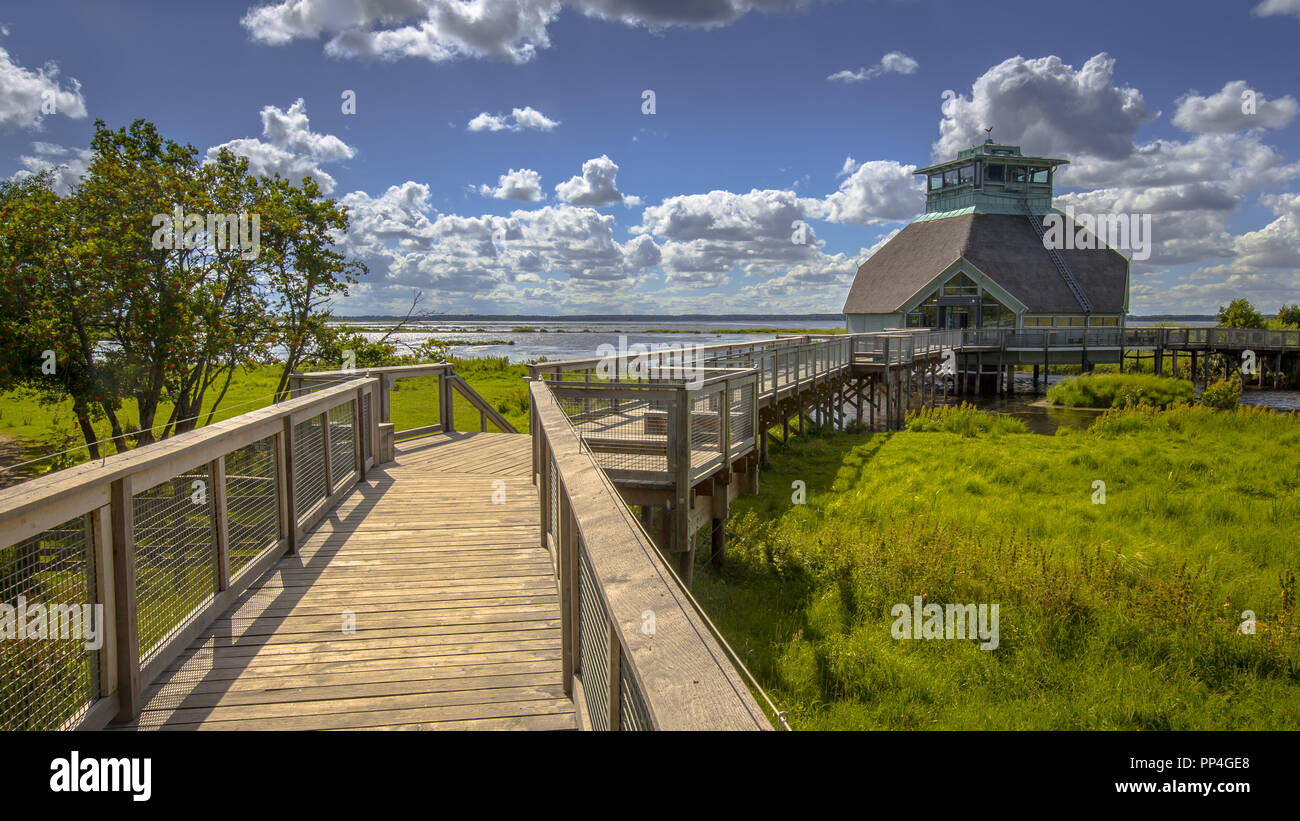 Exhibition centre birds hi-res stock photography and images - Alamy