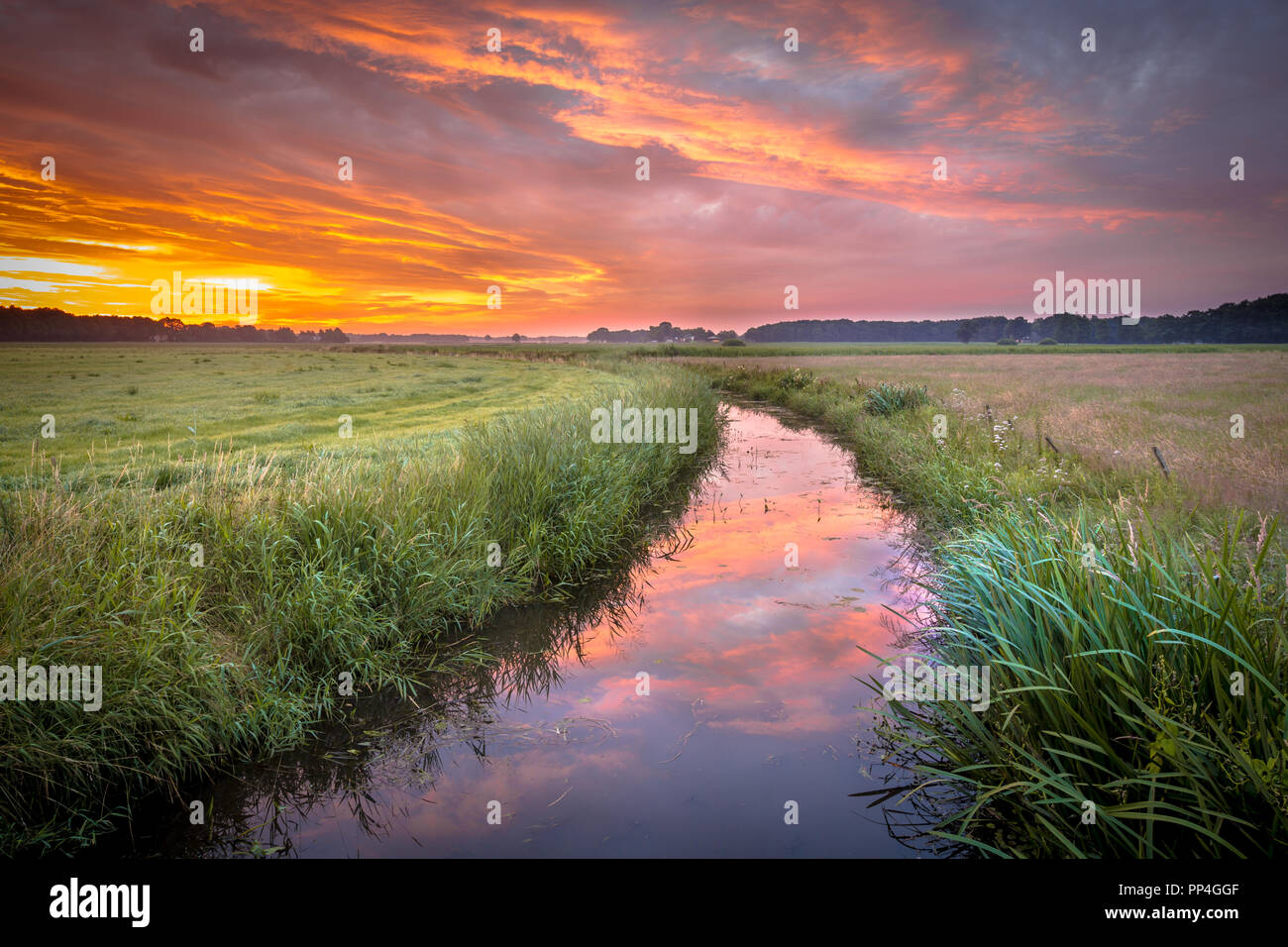 colorful Indian summer river landscape of lowland stream in the ...