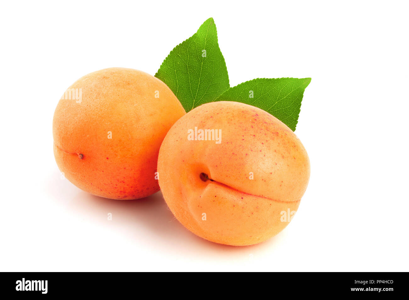 Apricot fruit with leaves isolated on white background macro Stock ...