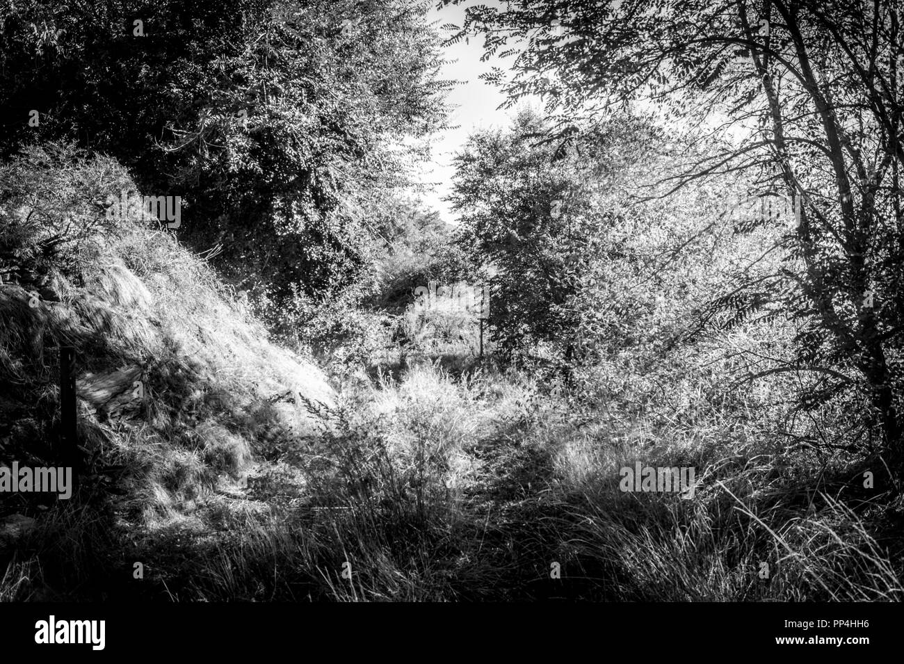 Landscape, mountain panorama, last days of summer Stock Photo - Alamy