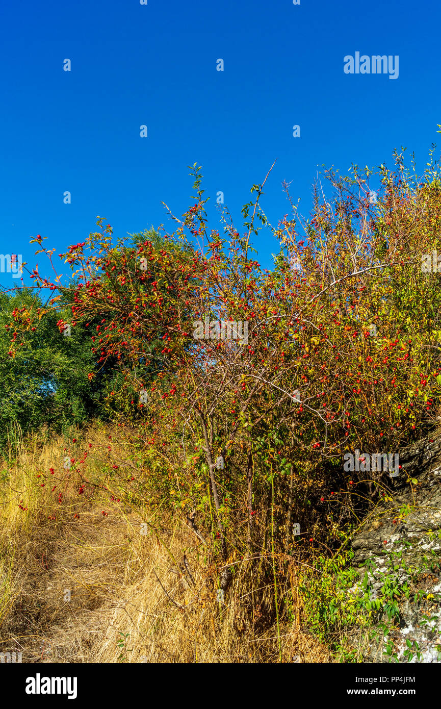 Landscape, mountain panorama, last days of summer Stock Photo - Alamy