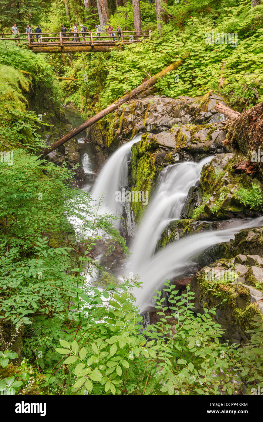 Sol Duc Falls, Olympic National Park, Washington state, USA Stock Photo ...