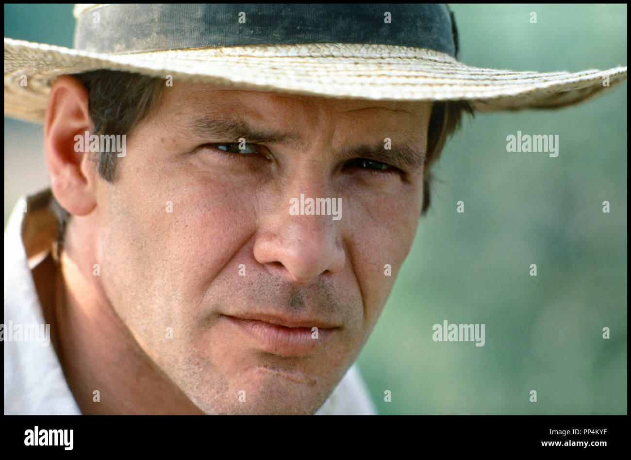 Witness 1985 Stock Photos & Witness 1985 Stock Images - Alamy