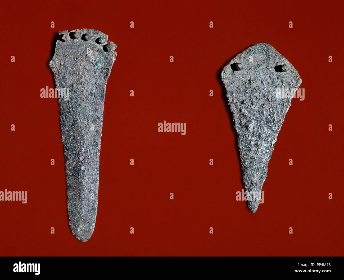 Cultura del argar hi-res stock photography and images - Alamy