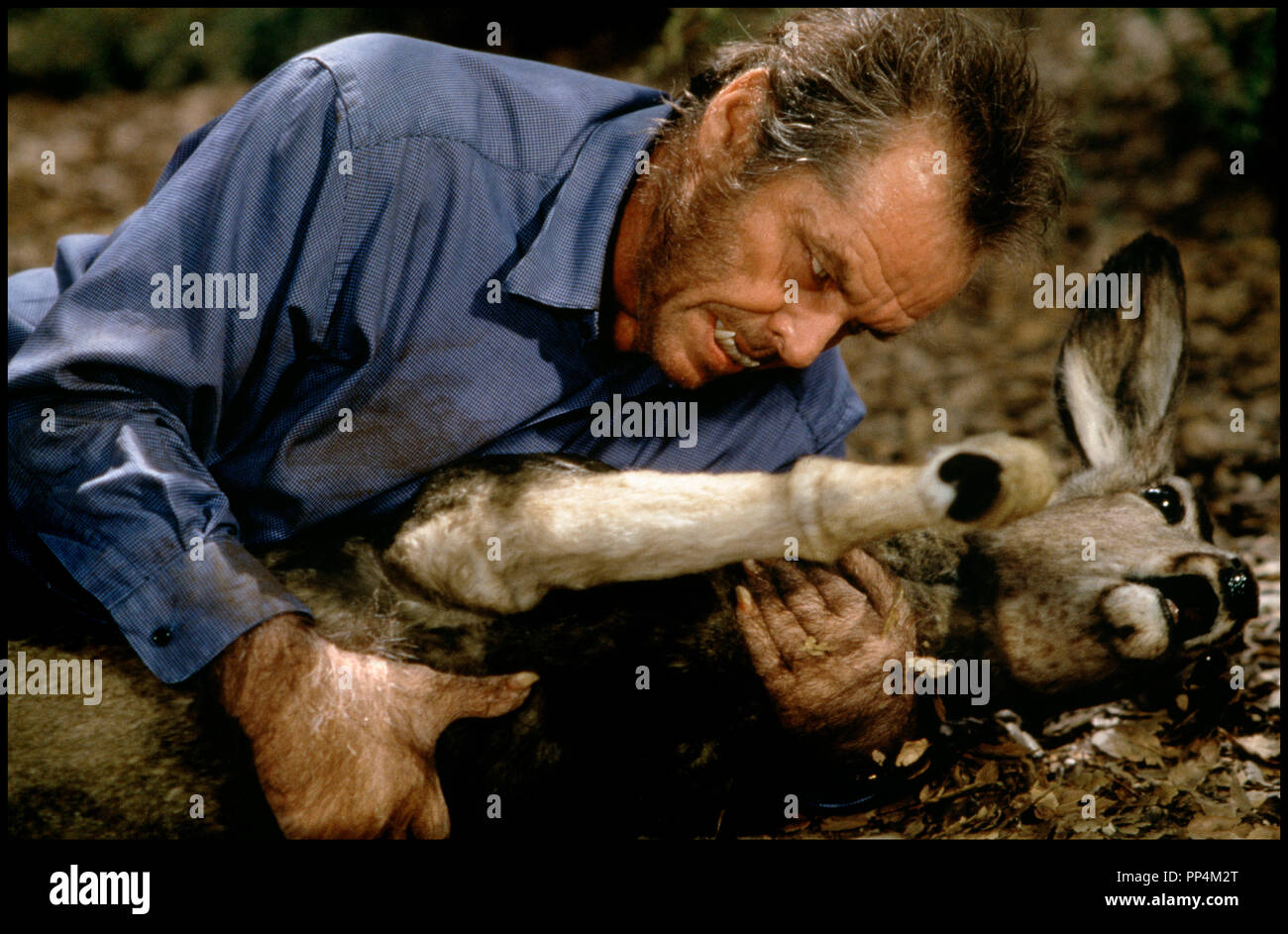 Wolf 1994 Jack Nicholson Stock Photos & Wolf 1994 Jack Nicholson Stock ...