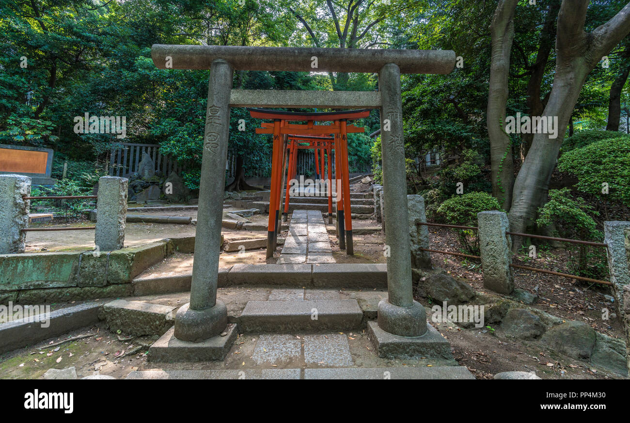 Tokyo, Bunkyo Ward - August 6, 2018 : Stone myojin Torii gate and red ...