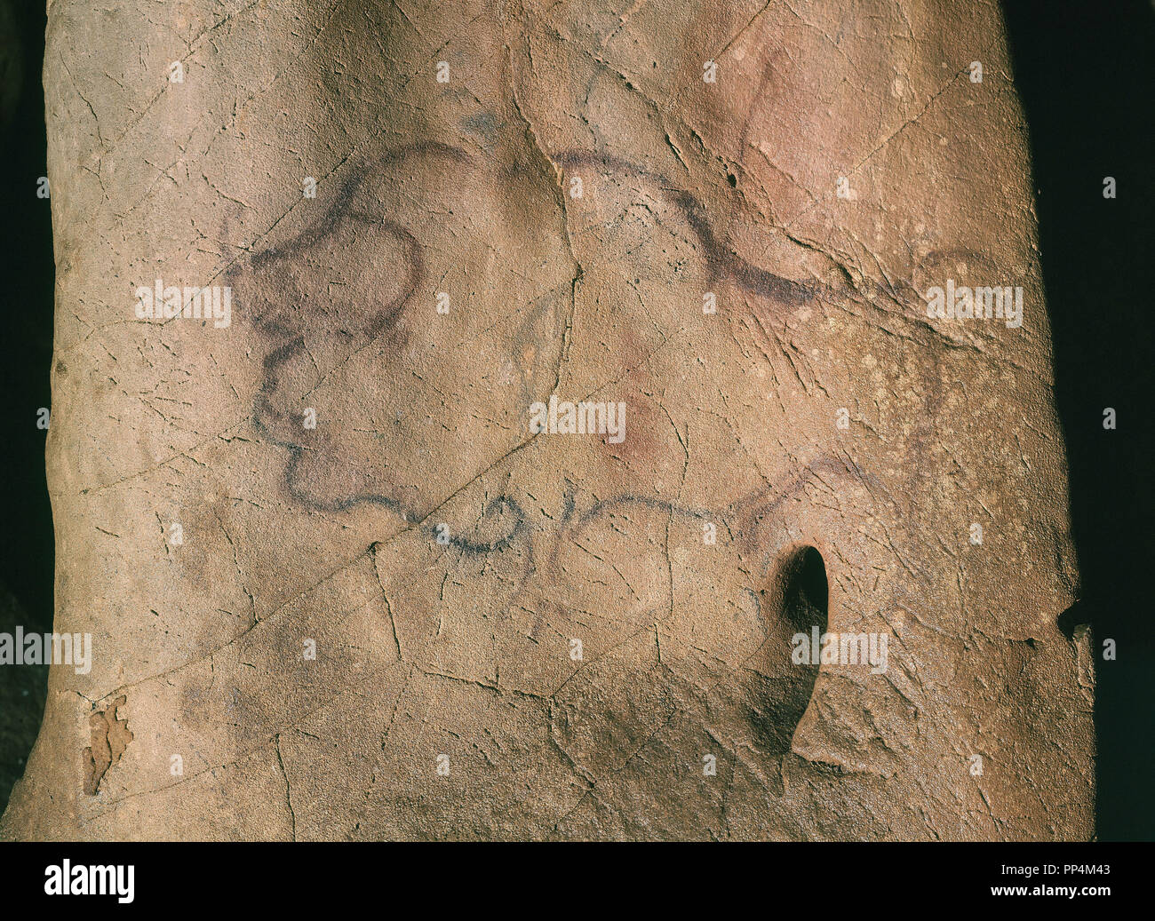 Magdalenian hi-res stock photography and images - Alamy