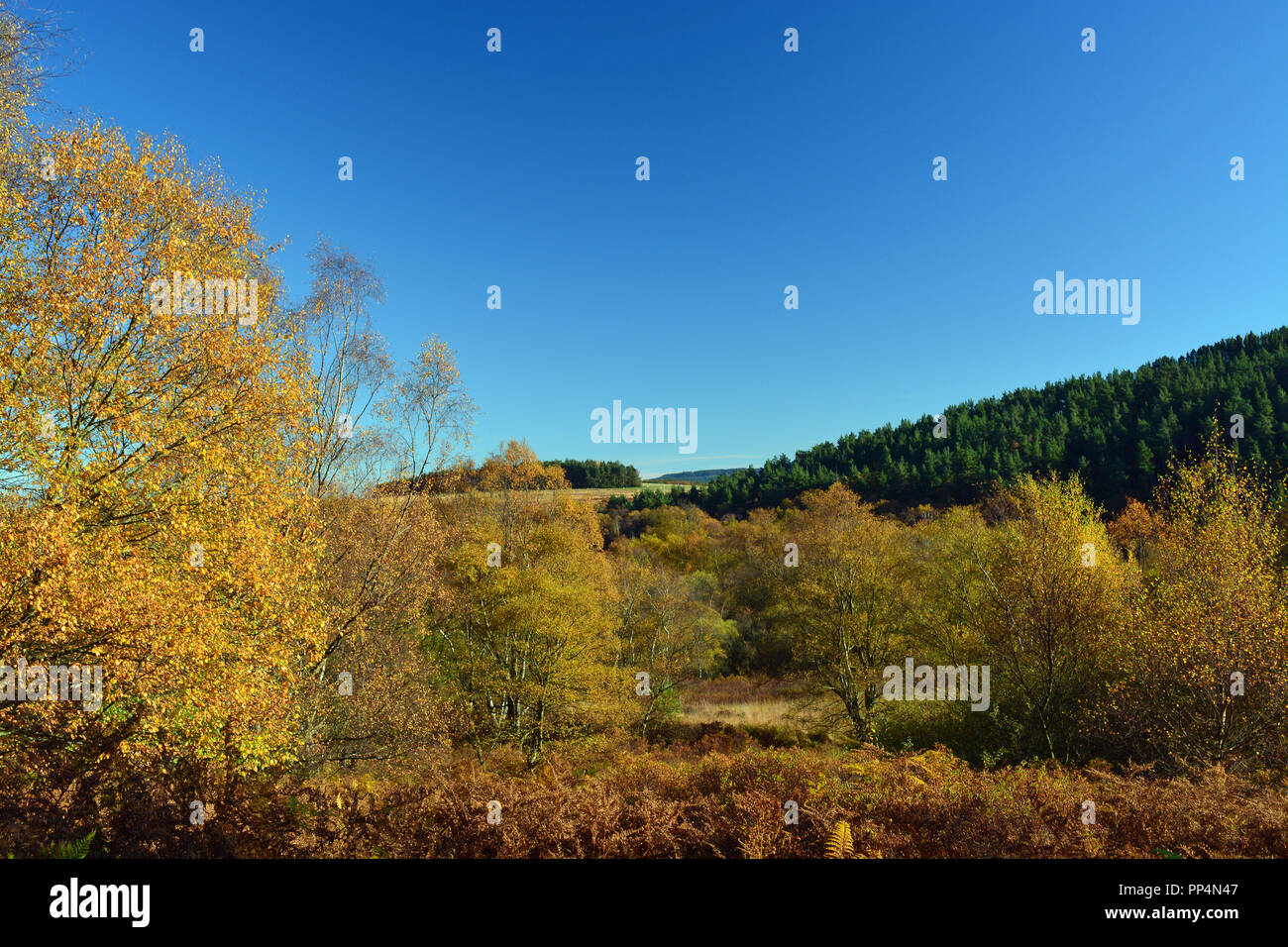Holystone hi-res stock photography and images - Alamy