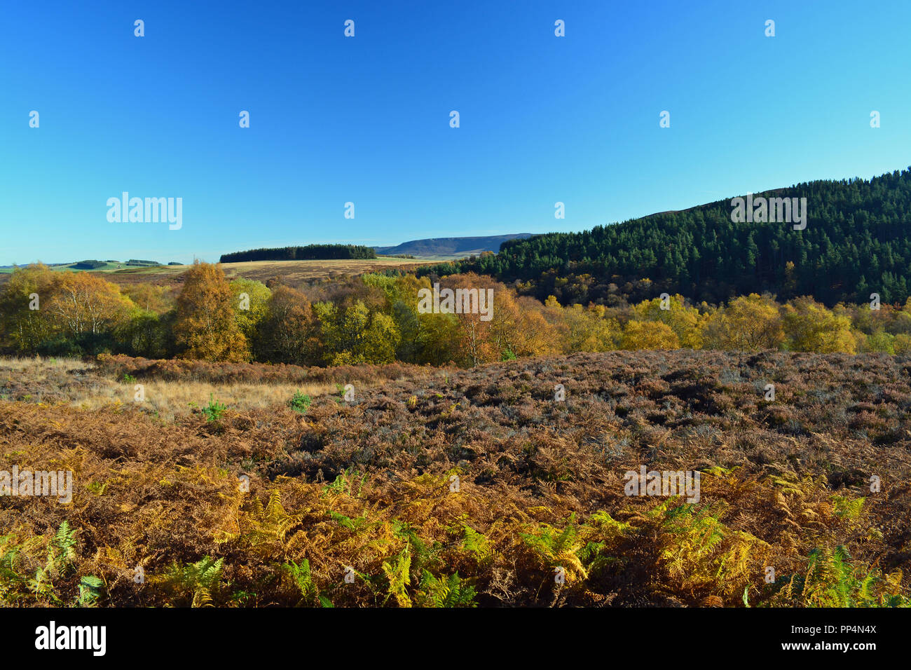 Holystone hi-res stock photography and images - Alamy