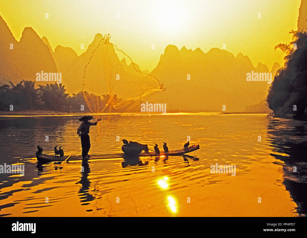 Guangxi, China: Fisherman on bamboo raft tossing net on Li River near ...