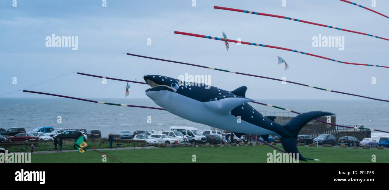 Workington harrington kite festival Stock Photo - Alamy