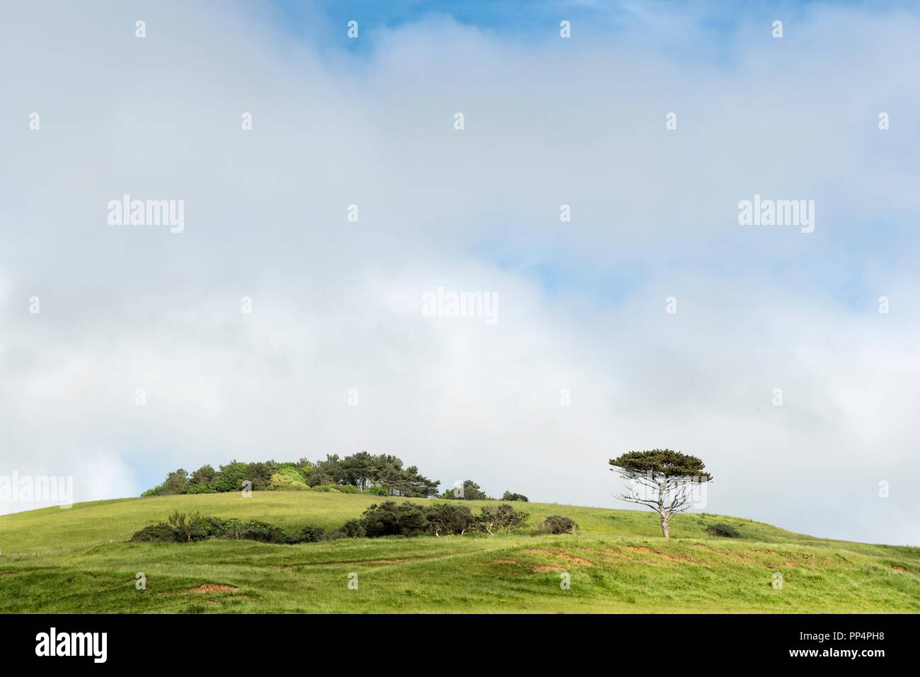 Tree on hill clouds rolling hi-res stock photography and images - Alamy