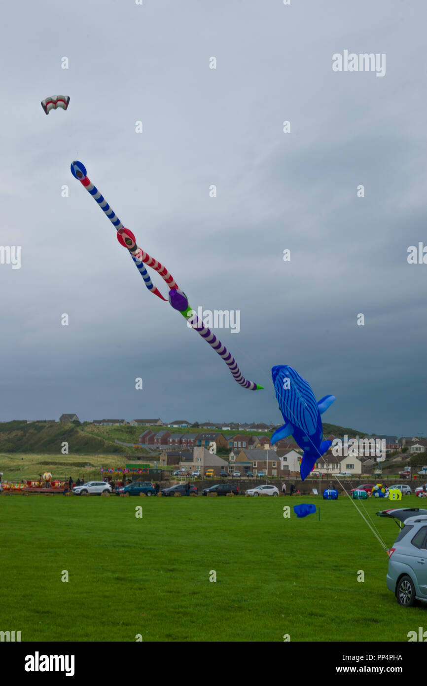 Workington harrington kite festival Stock Photo - Alamy