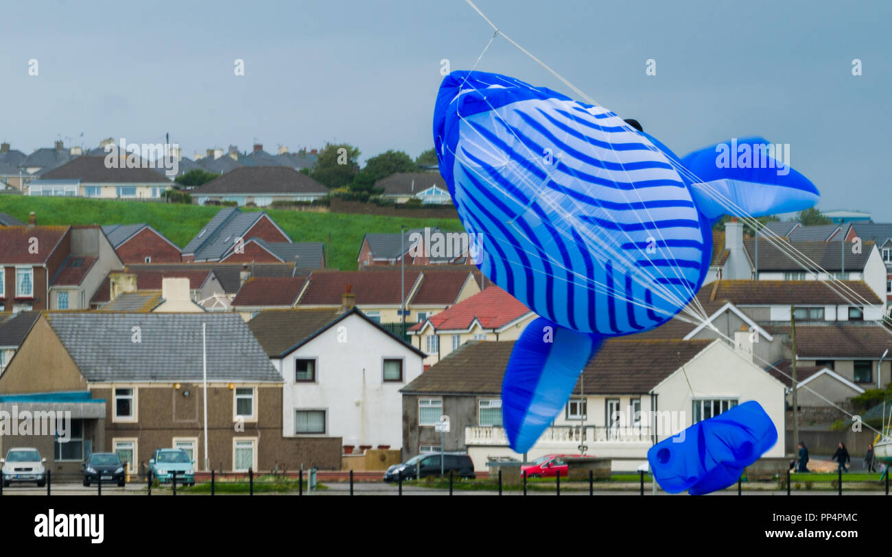Workington harrington kite festival Stock Photo - Alamy