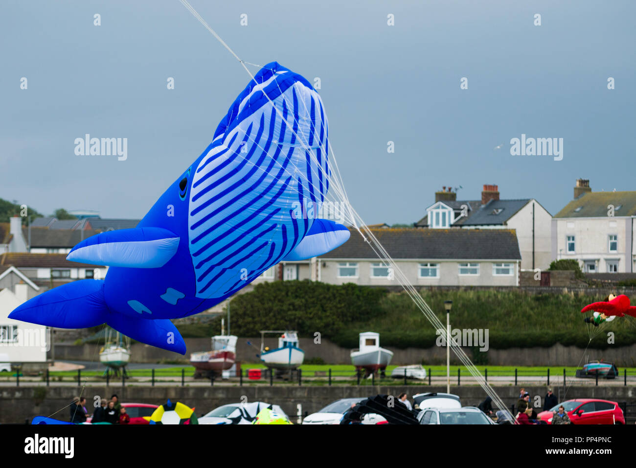 Workington harrington kite festival Stock Photo - Alamy