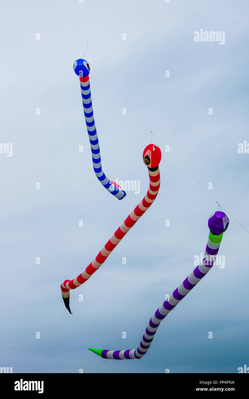 Workington harrington kite festival Stock Photo - Alamy