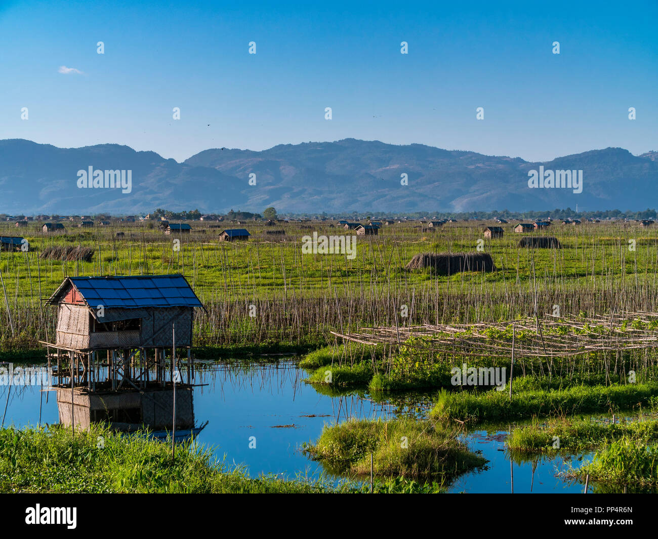 Floating garden in Inle Lake, Myanmar, Burma Stock Photo - Alamy