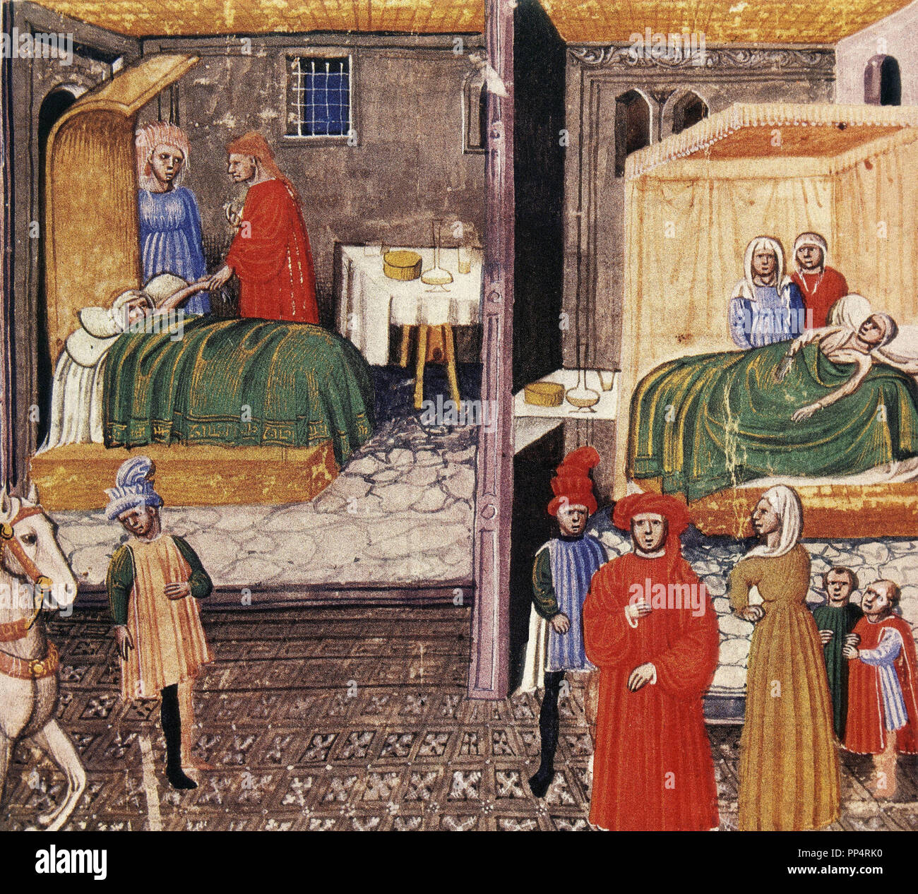 Avicenna canon hi-res stock photography and images - Alamy