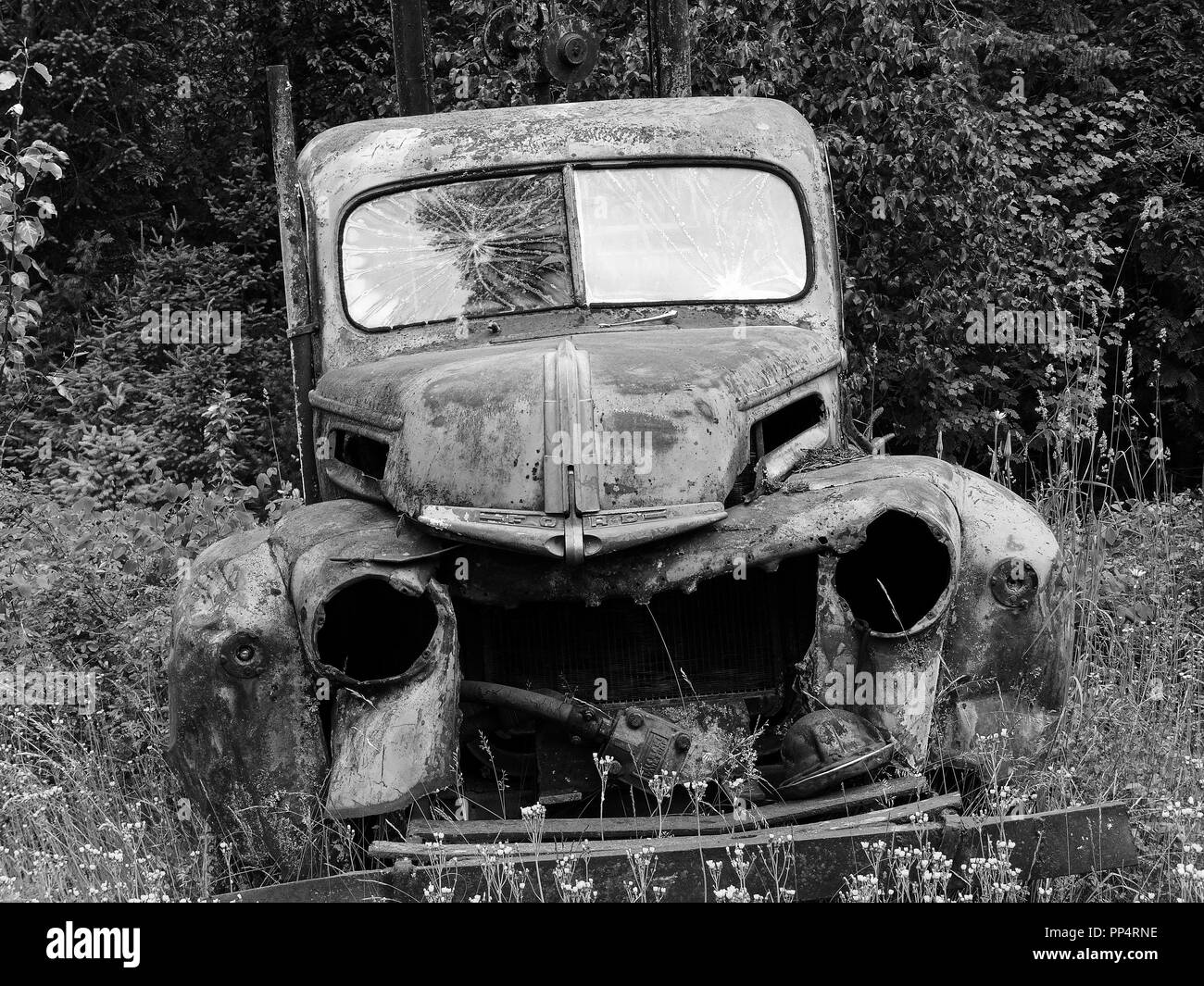 Old overgrown rusted car car Black and White Stock Photos & Images - Alamy