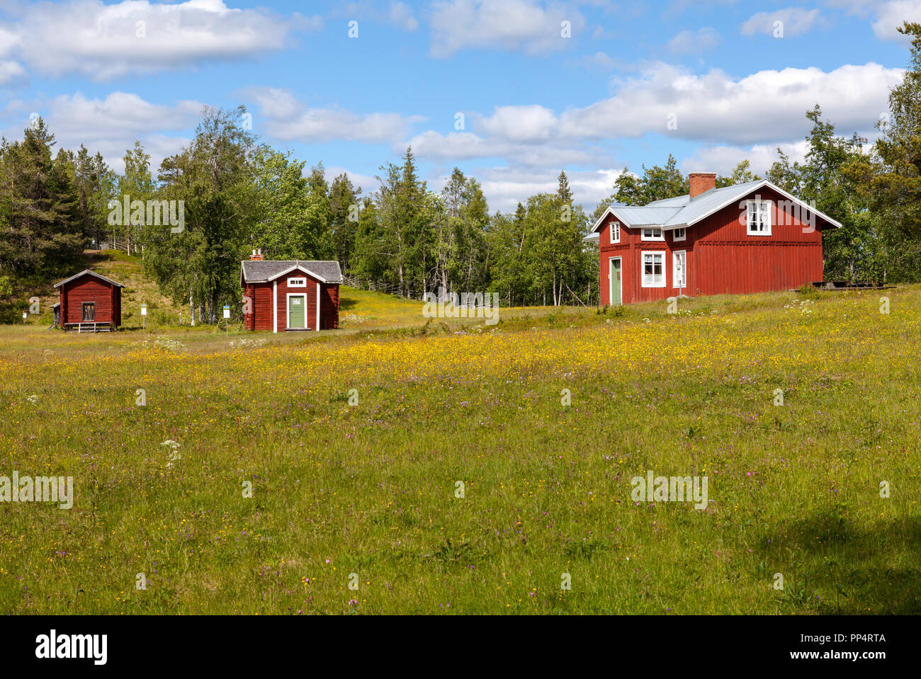 RIKTI DOKKAS, SWEDEN ON JUNE 25, 2018. View of an old wooden homestead ...