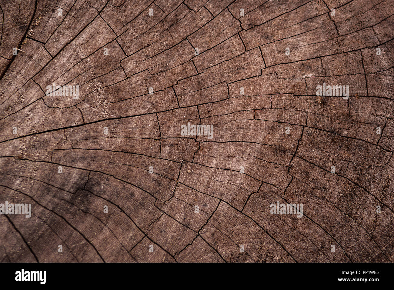 Natural Cracked Wood Texture Stock Photo - Alamy
