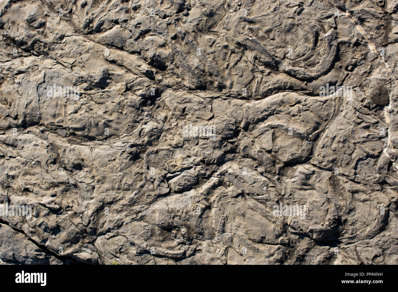 Natural rock or Stone surface as background texture Stock Photo - Alamy