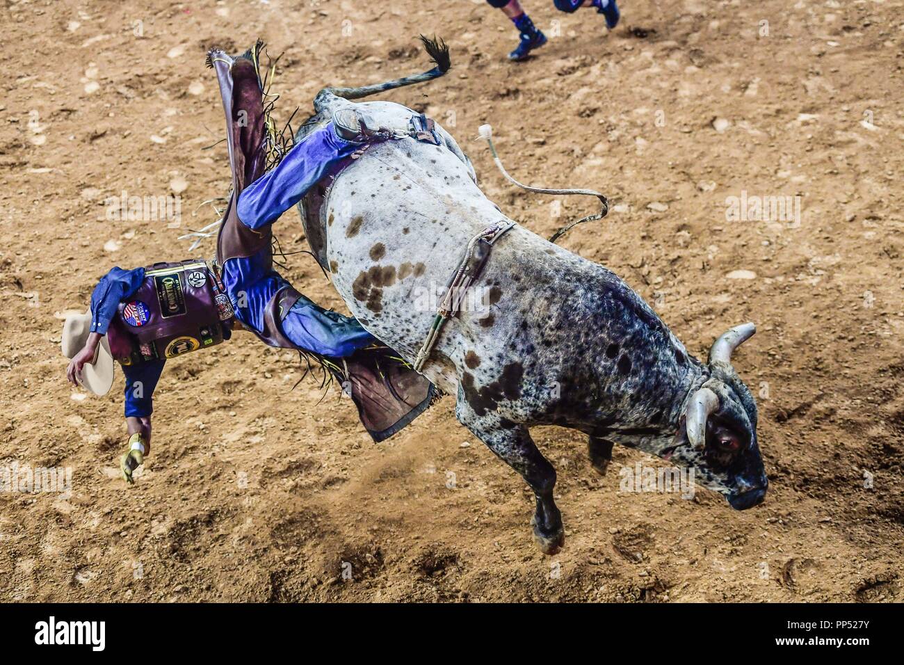 Lucas divino hi-res stock photography and images - Alamy
