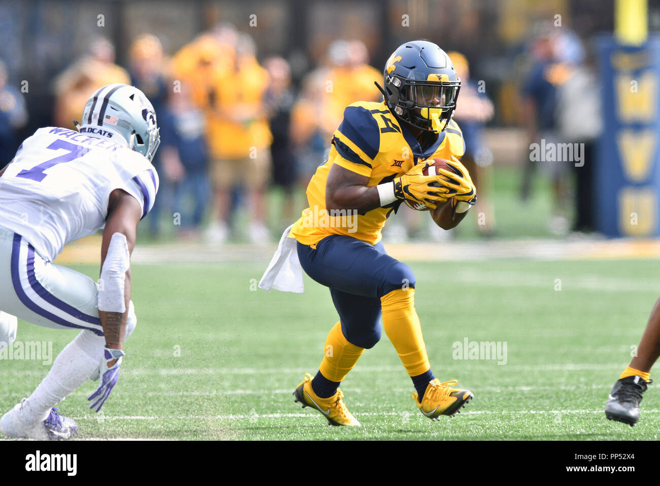 0349 jpg hi-res stock photography and images - Alamy