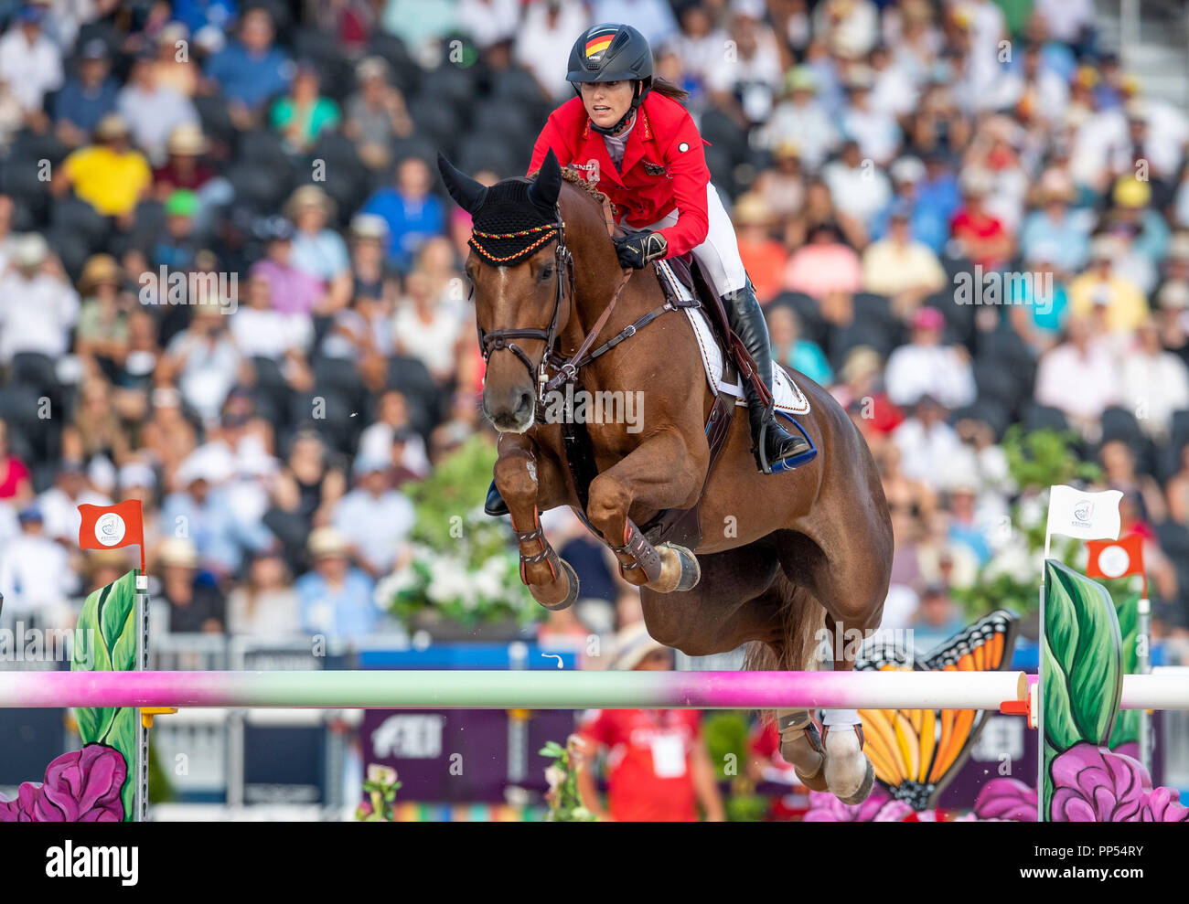 Dsp High Resolution Stock Photography and Images - Alamy