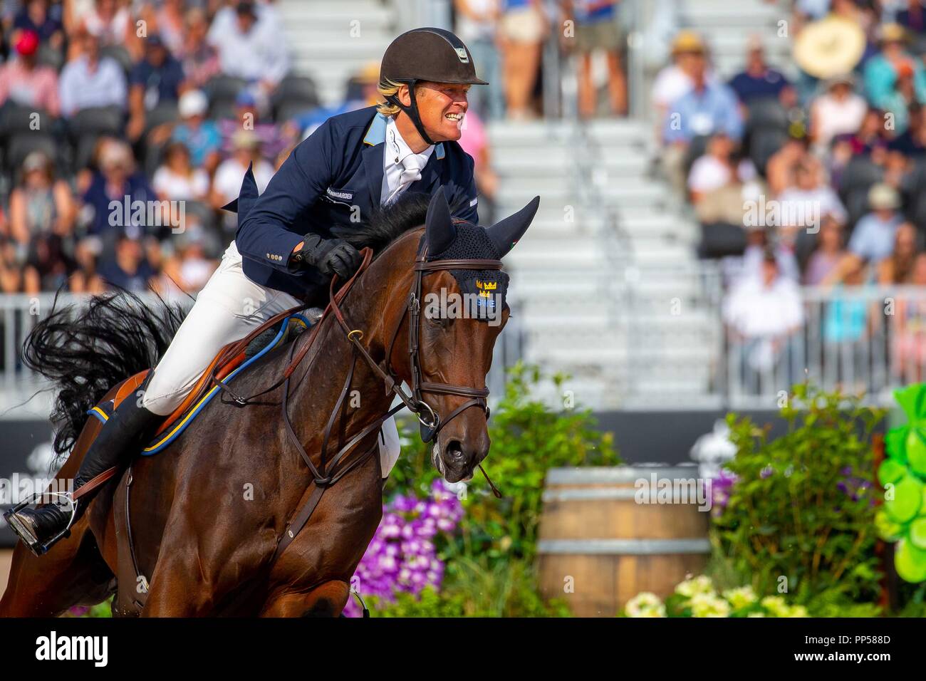 2018 fredrik jonsson hi-res stock photography and images - Alamy