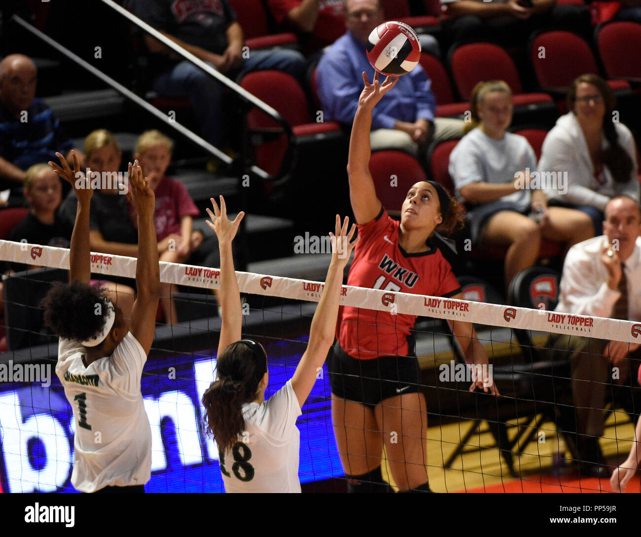 Right side hitter hi-res stock photography and images - Alamy