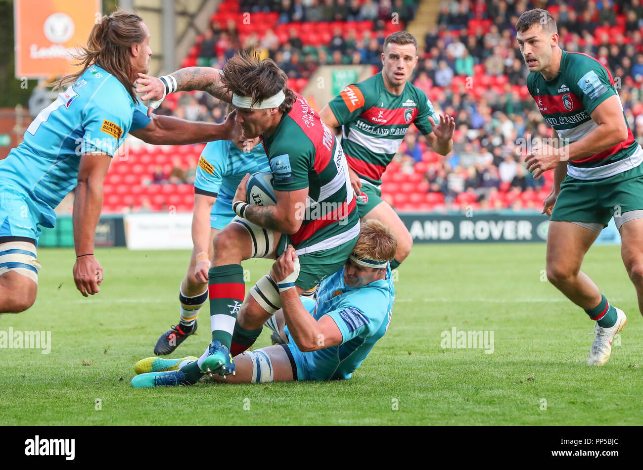 Thompson Road High Resolution Stock Photography and Images - Alamy