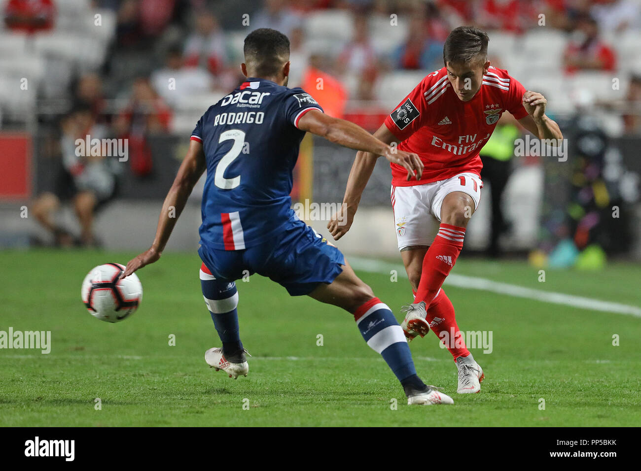 Franco cervi hi-res stock photography and images - Alamy