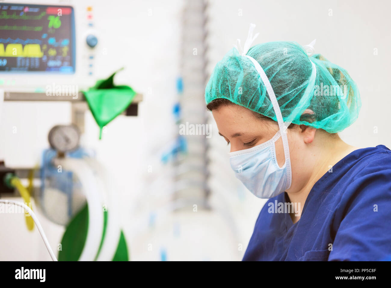 Veterinarian doctor portrait in operating room. Anesthesia monitoring ...