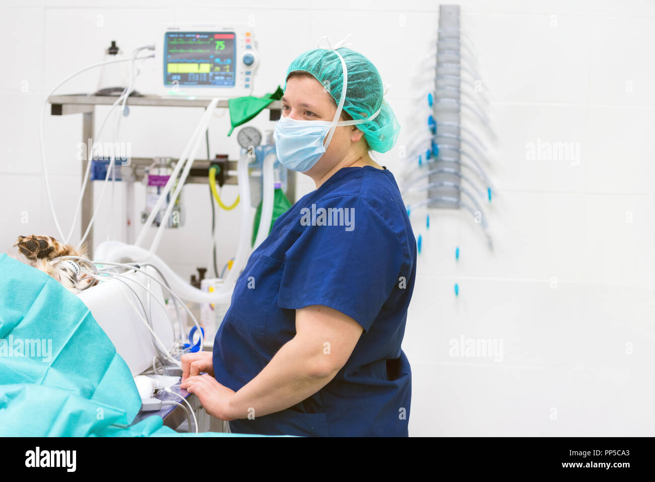 Anesthesia monitoring hi-res stock photography and images - Alamy